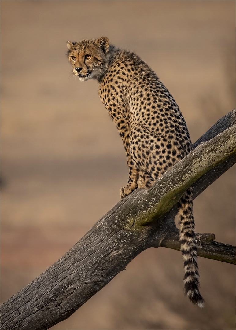 Welcome - Magalies Foto Fun Club